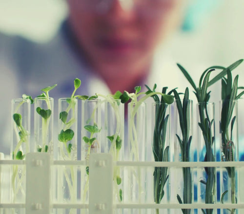 Mr Wulf | Premium Non-Toxic Skincare for Men – Mr Wulf Men